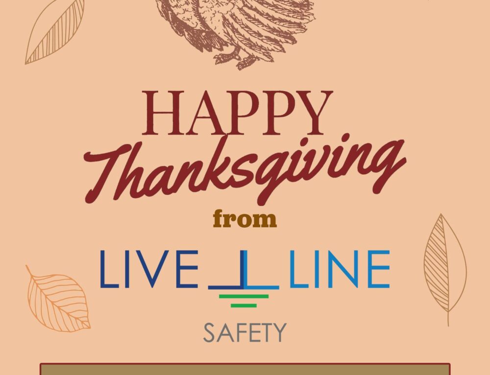 Hot Stick Testing | LIVE LINE SAFETY | 832-350-TEST
